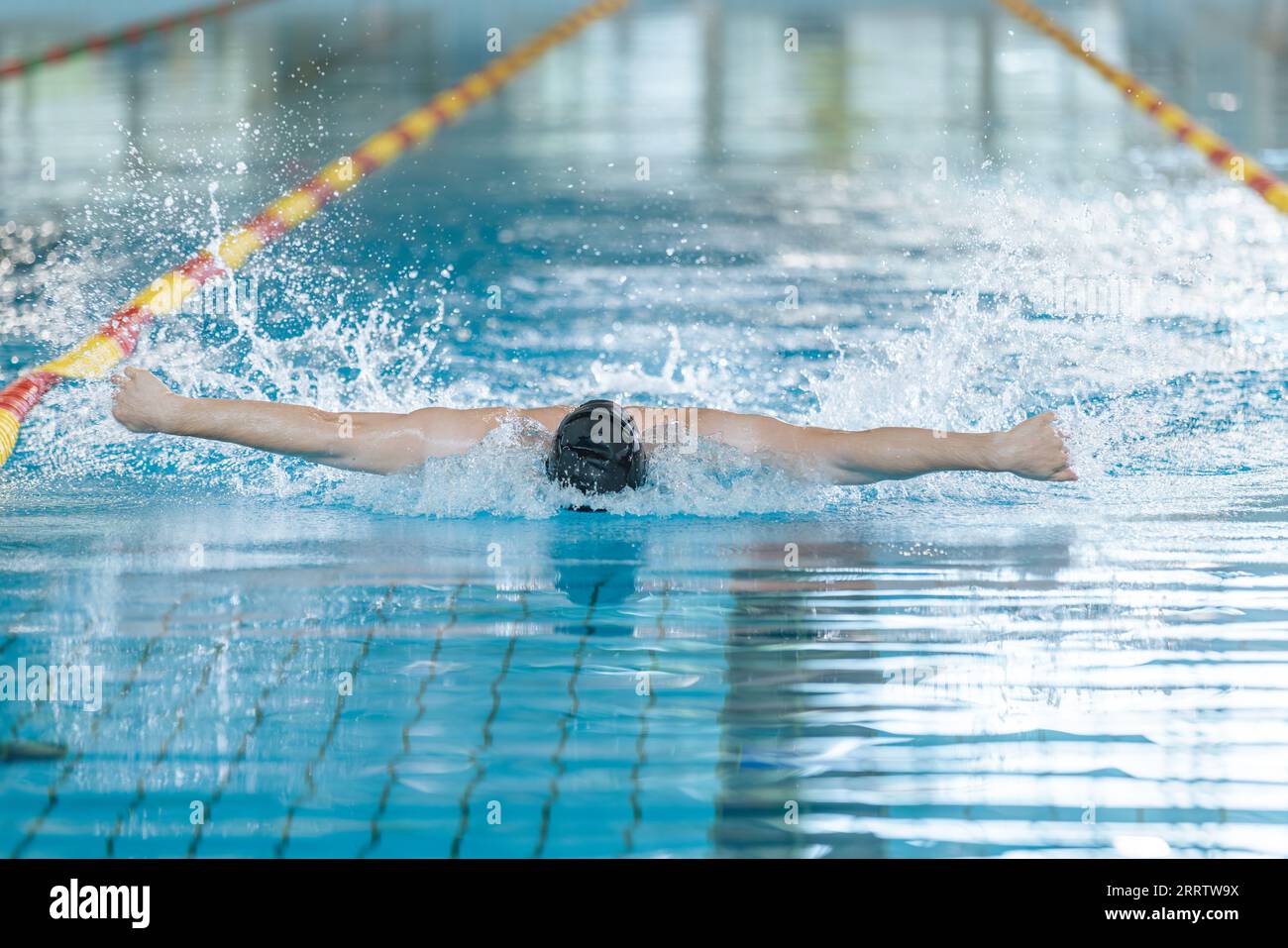 Professional male swimmer performing butterfly style in the indoor lap ...