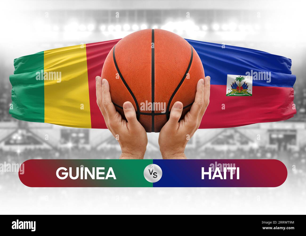 White background vs guinea hi-res stock photography and images - Alamy