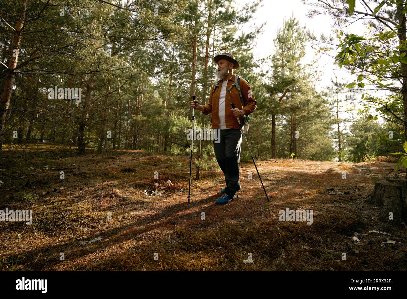 Elderly man using walking stick hi-res stock photography and images - Alamy