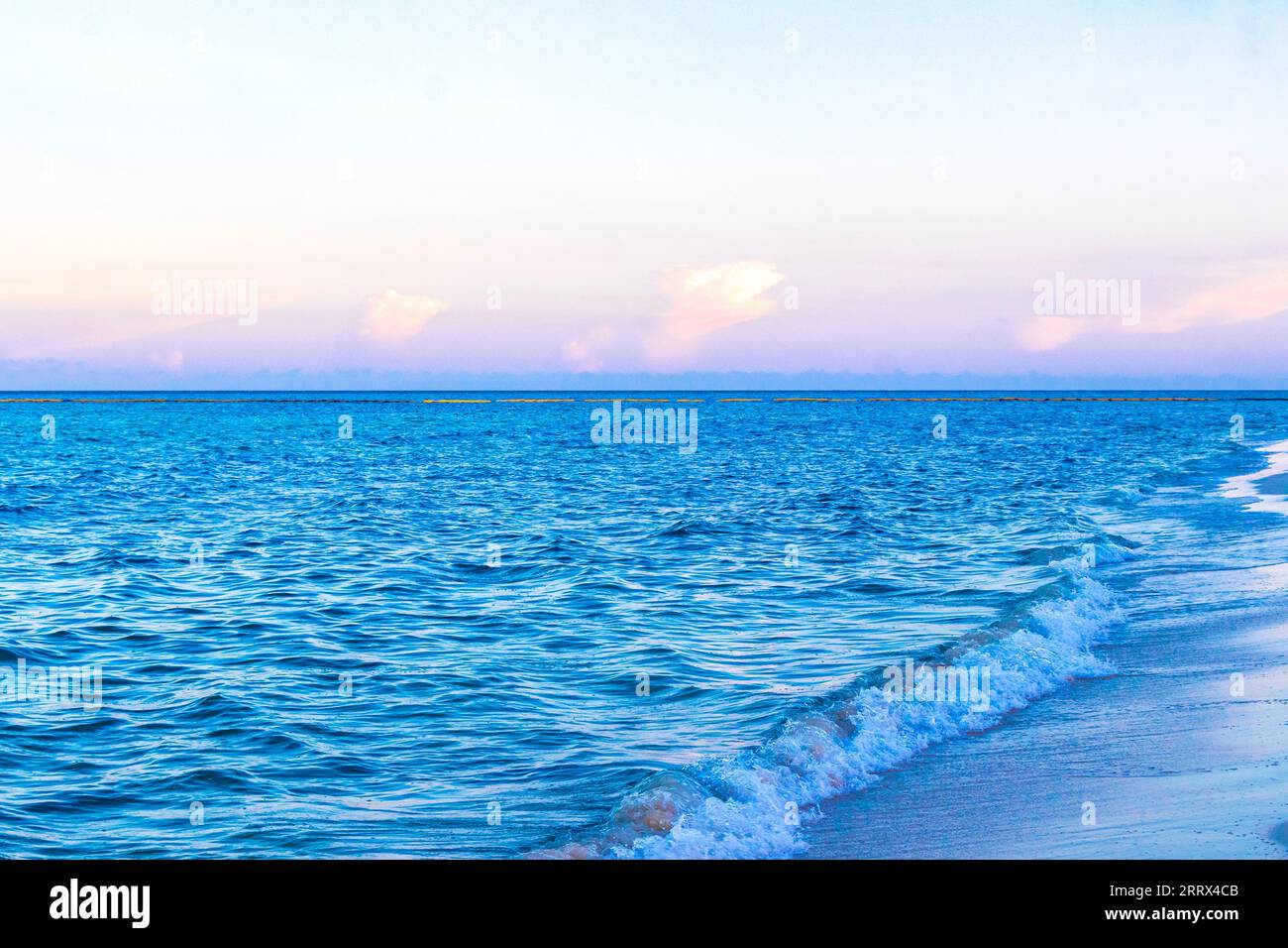 Tropical mexican caribbean beach landscape panorama with clear ...