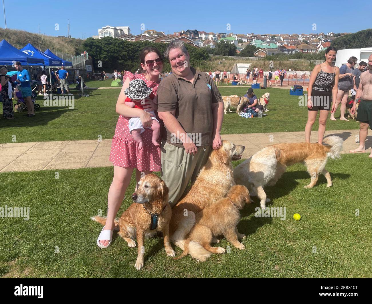 Millie the dog hi-res stock photography and images - Alamy