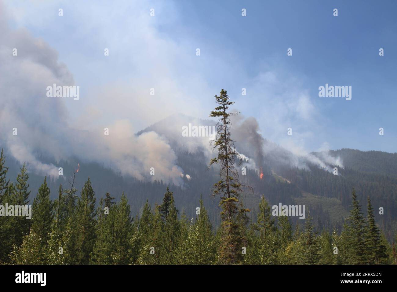 230821 -- BRITISH COLUMBIA, Aug. 21, 2023 -- Photo taken on Aug. 12 ...