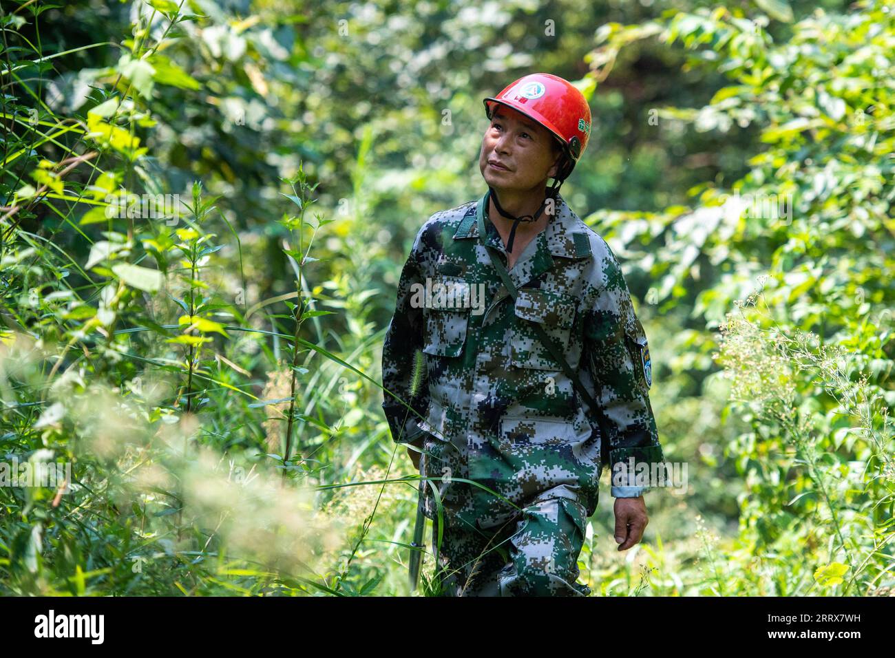 230826 -- CHANGSHA, Aug. 26, 2023 -- Huang Weigu patrols on a mountain ...