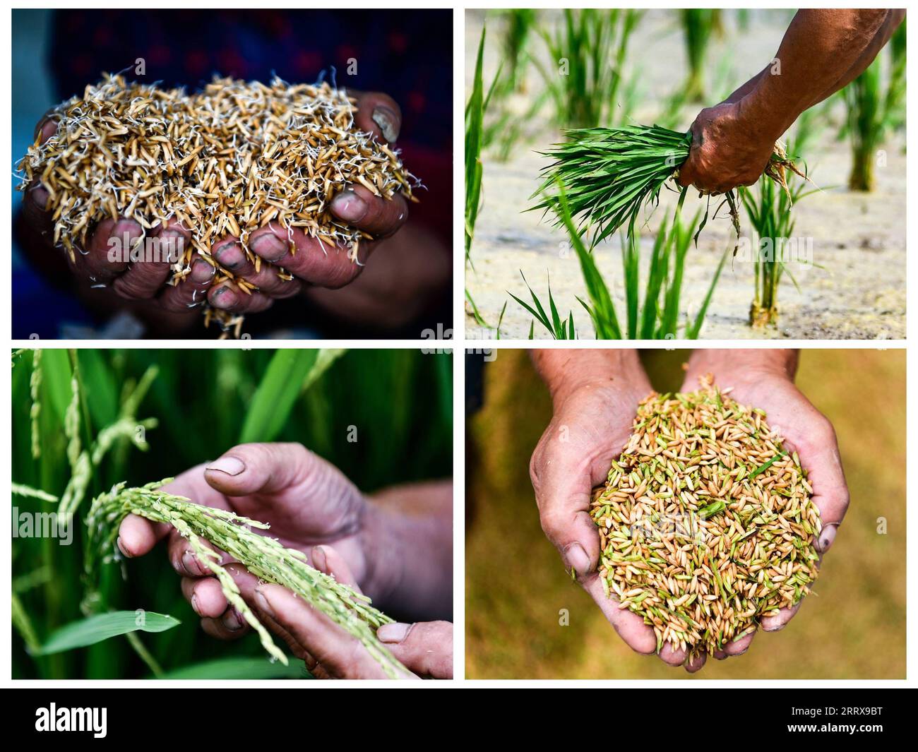 Inspecting village Cut Out Stock Images & Pictures - Alamy Inspecting village Cut Out Stock Images & Pictures - Alamy