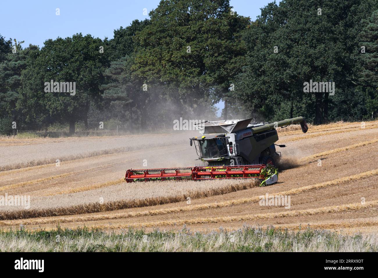 combine harvester gathering in the harvest Stock Photo - Alamy