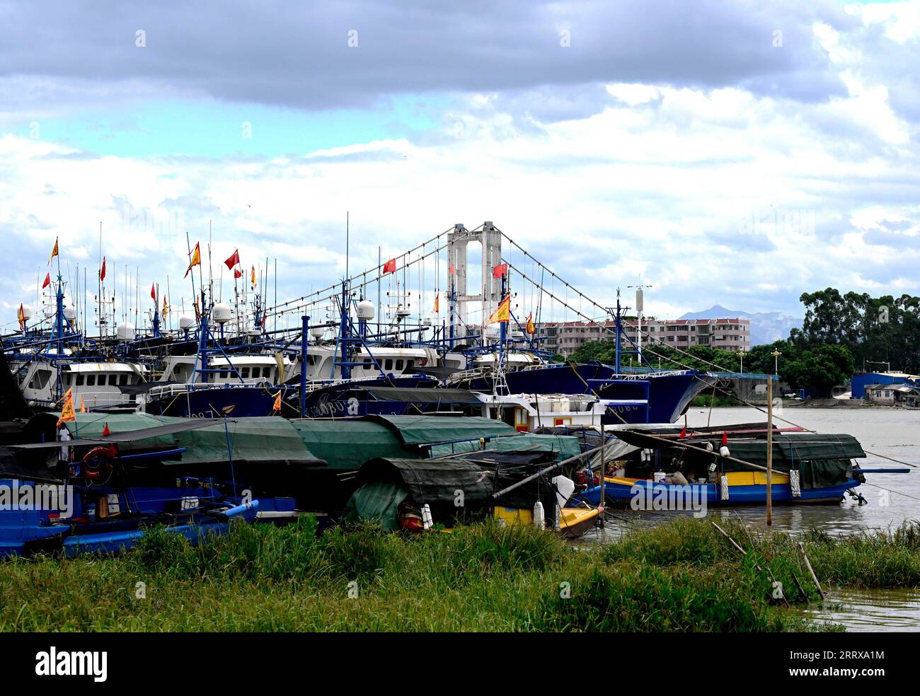 230831 -- ZHANGZHOU, Aug. 31, 2023 -- Fishing boats take shelter from ...