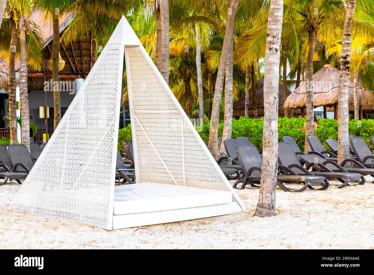 Palapa thatched roofs palm trees parasols umbrellas and sun loungers at ...