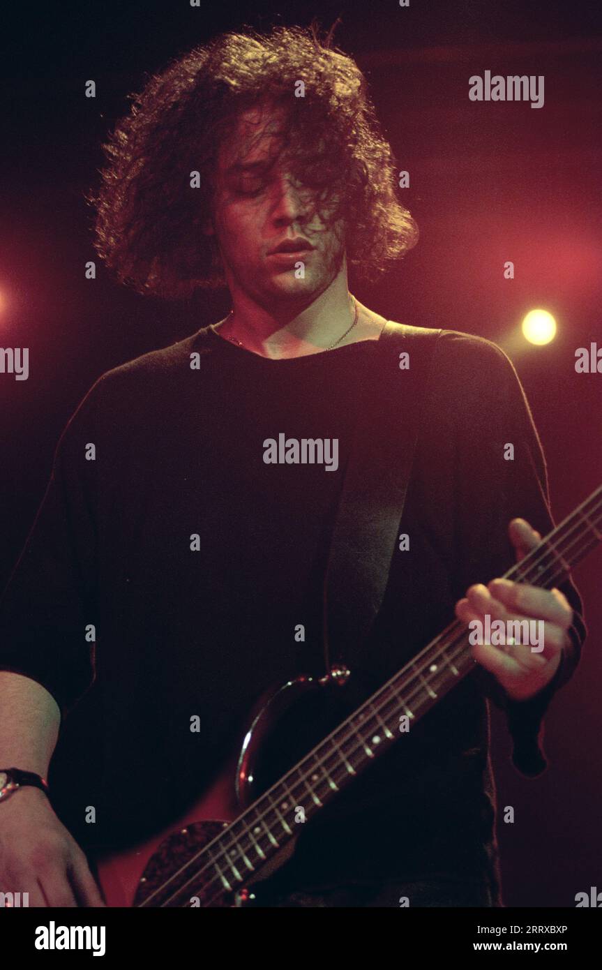 Muse 2001 hi-res stock photography and images - Alamy