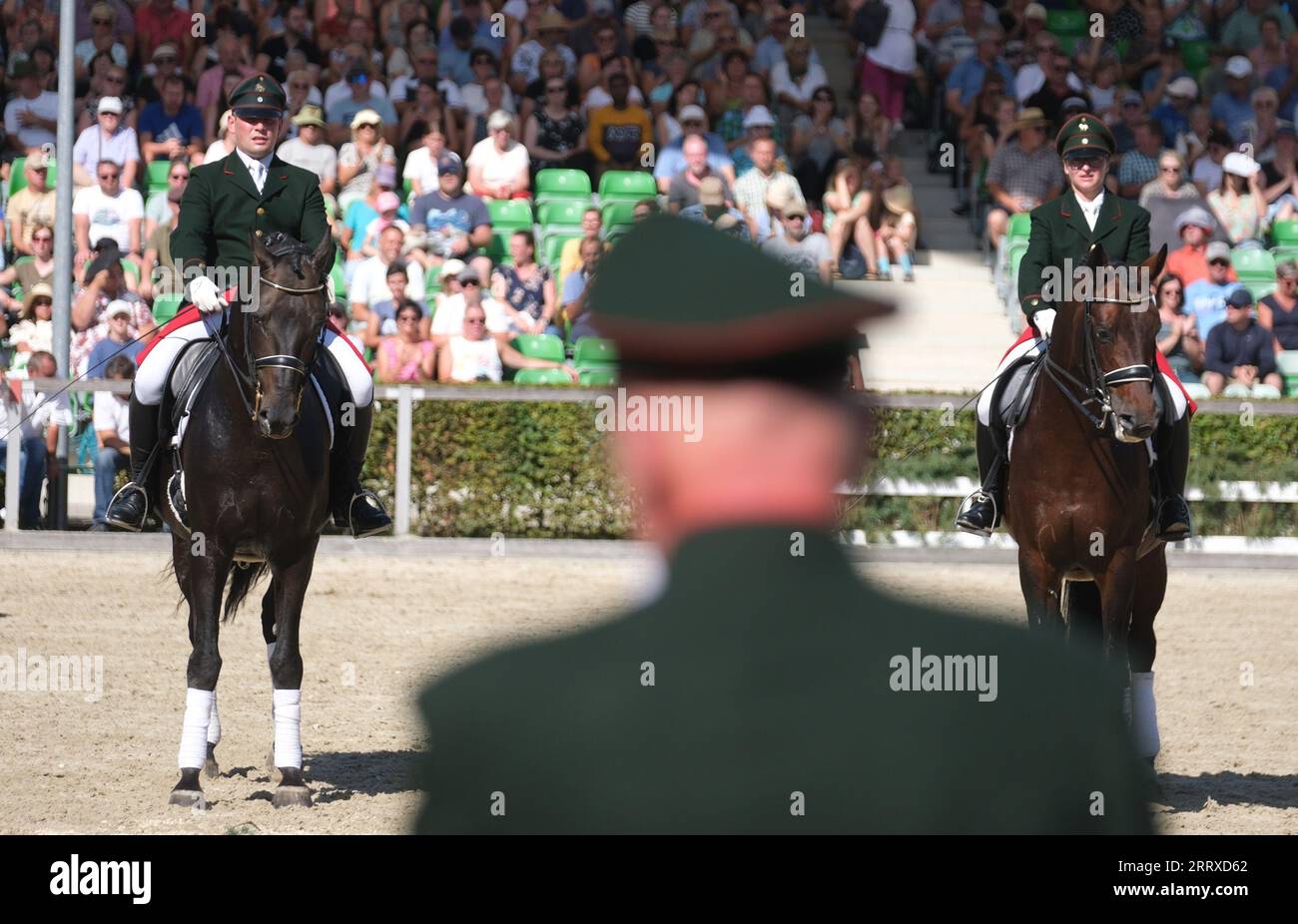 Moritzburg, Germany. 09th Sep, 2023. Stallions are presented at the ...