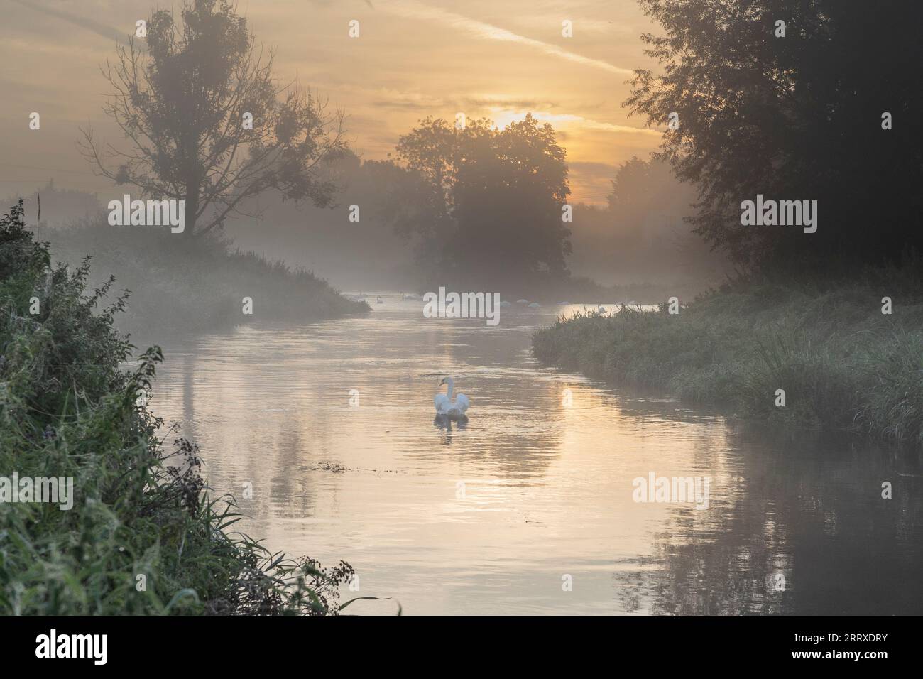 Tranquil water river hi-res stock photography and images - Alamy