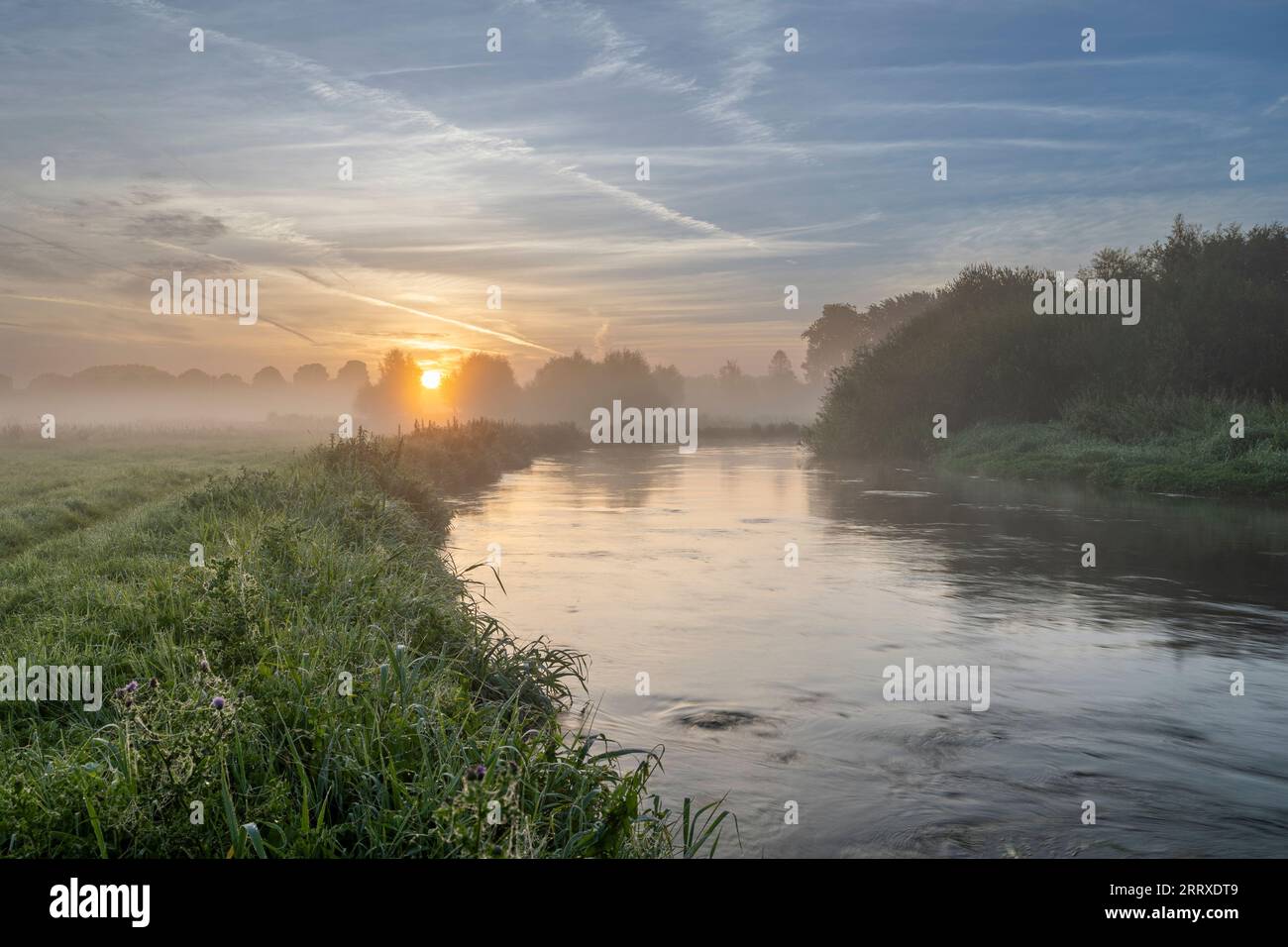A gentle river scene with steady flow and grassy riverbanks featuring ...