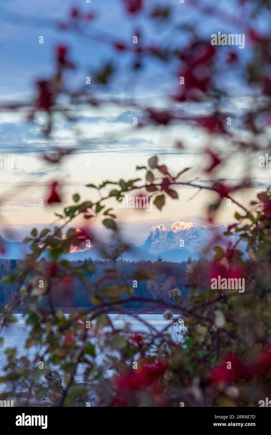 Mt robie reid hi-res stock photography and images - Alamy