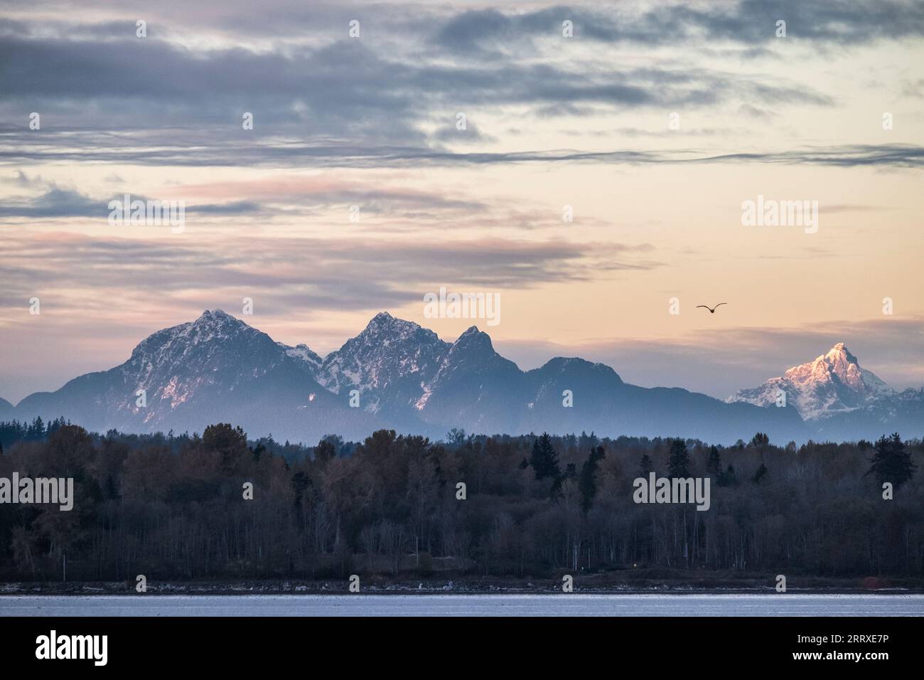 Mt robie reid hi-res stock photography and images - Alamy