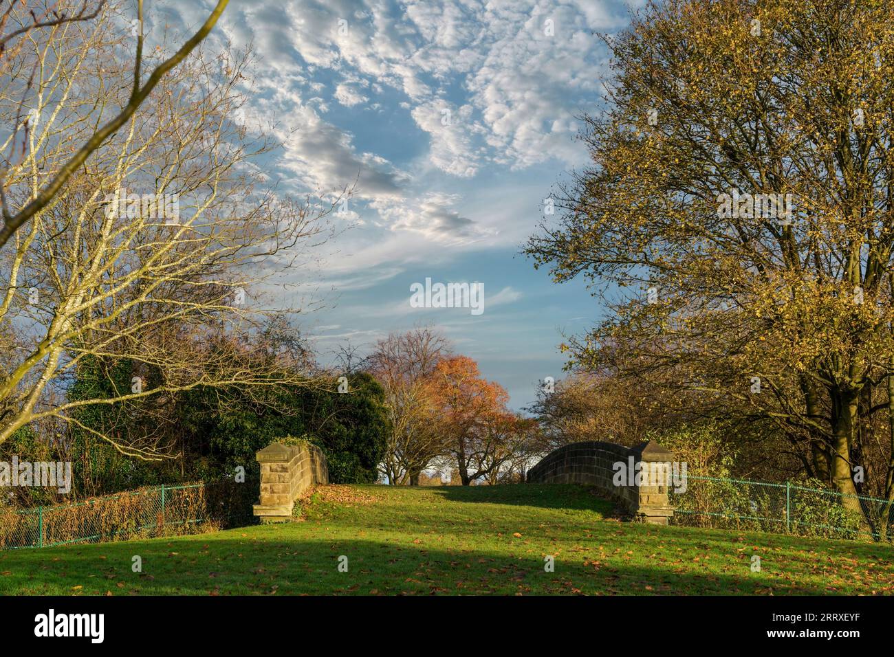 On the Stray in Harrogate, Yorkshire, UK, autumn sunshine illuminates ...