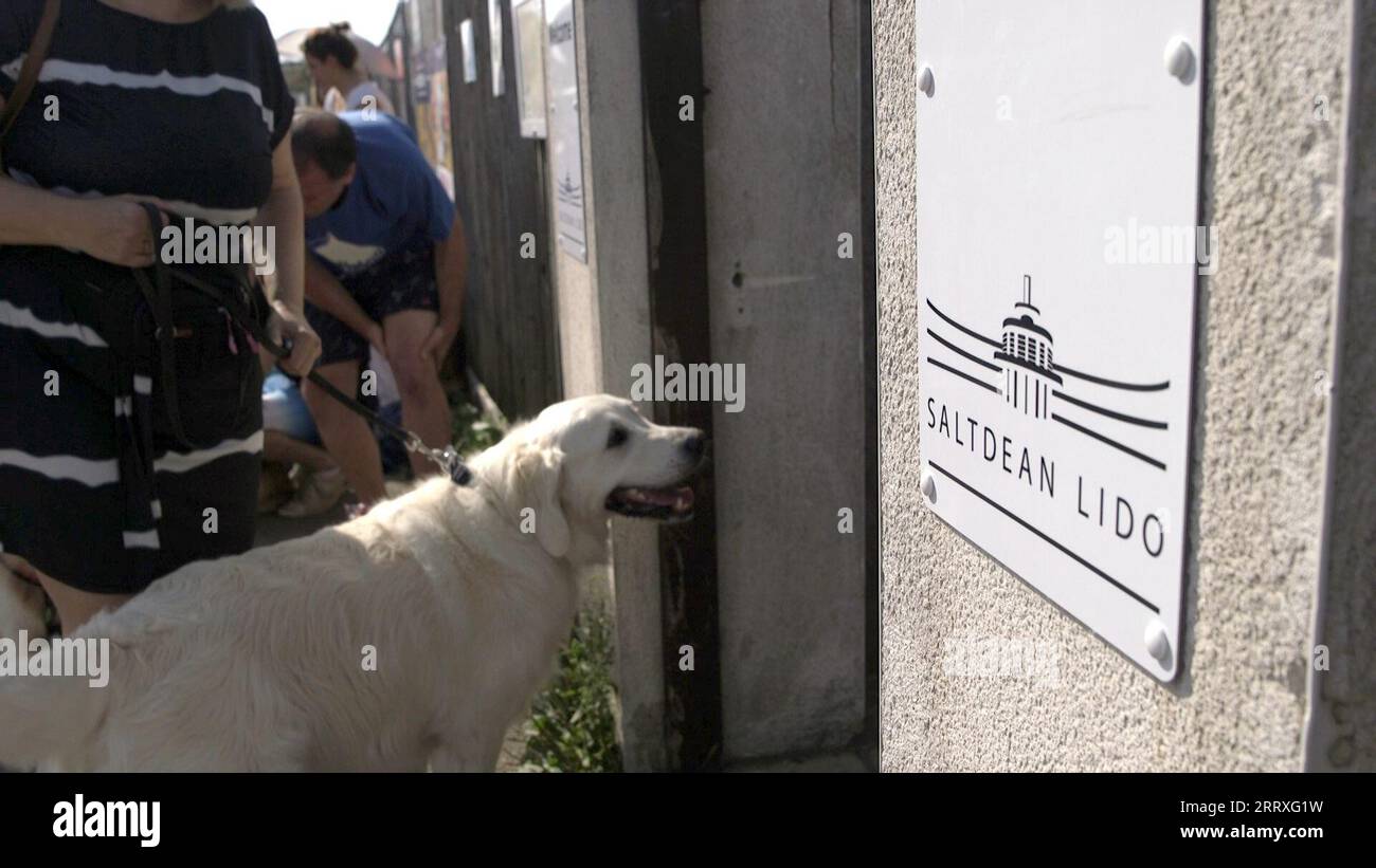 Screenshot taken from PA Video of a golden retriever enjoying the ...