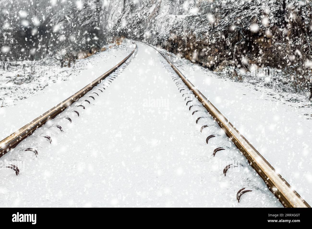 Railway in winter. Winter railway in the forest. Railway in the snow ...