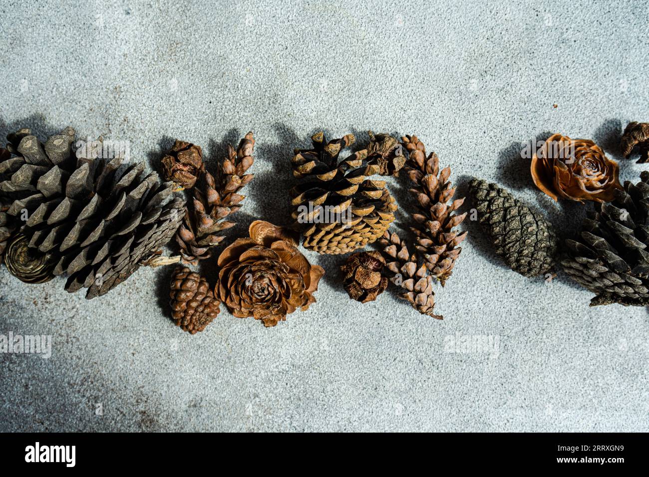 Different types of dry cones in frame on concrete background Stock ...