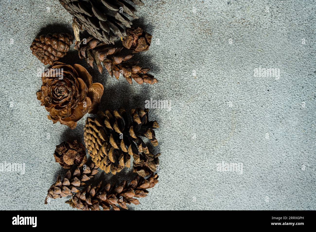 Different types of dry cones in frame on concrete background Stock ...