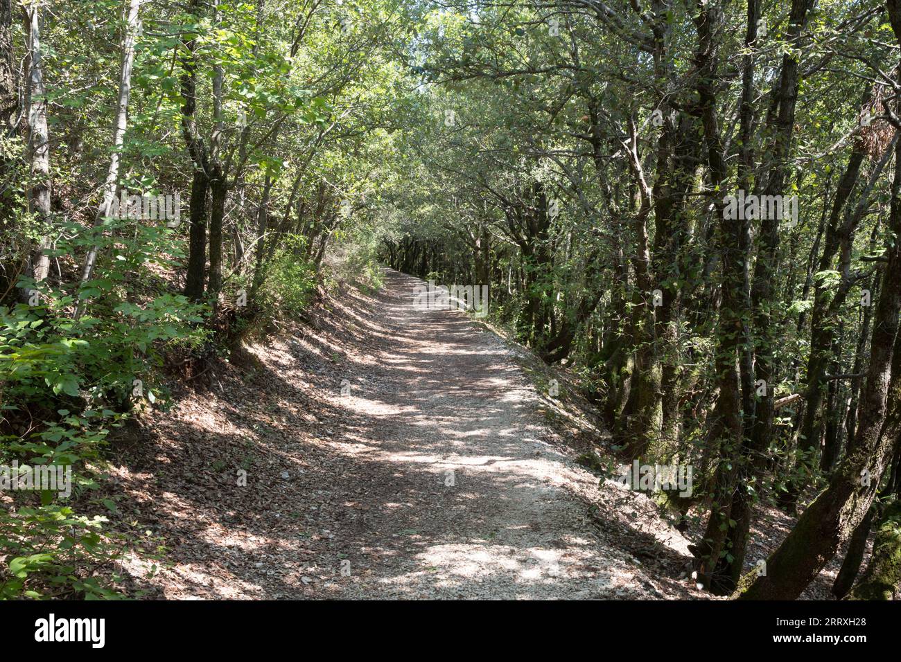 Path to the lake of Fiastra Stock Photo - Alamy