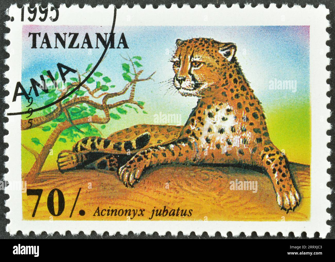 Cancelled postage stamp printed by Tanzania, that shows Cheetah ...