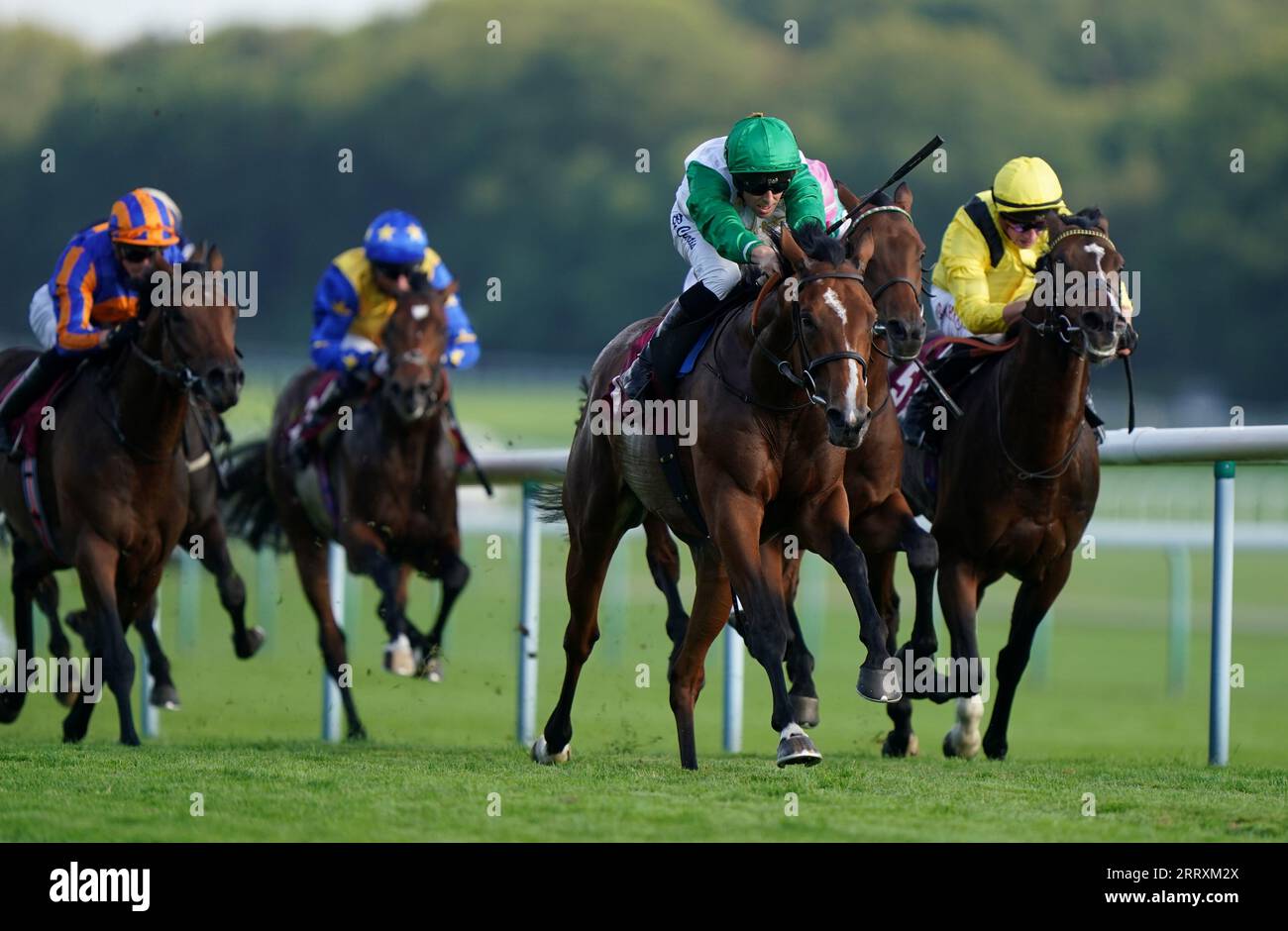 Al musmak hi-res stock photography and images - Alamy