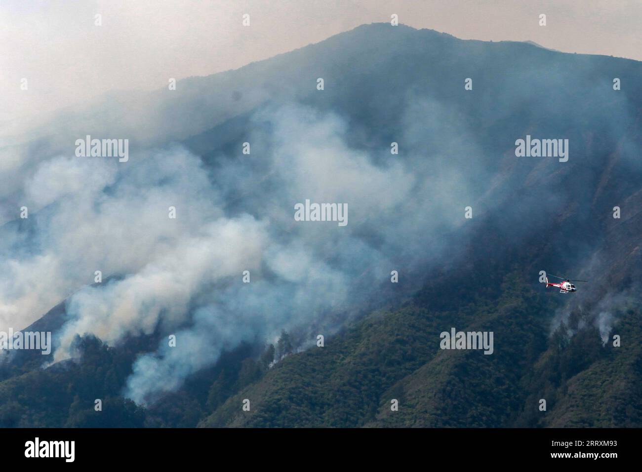 East Java, Indonesia. 9th Sep, 2023. Smoke caused by a peatland fire ...