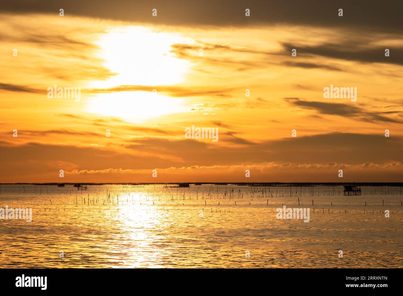 Cockle farming hi-res stock photography and images - Alamy