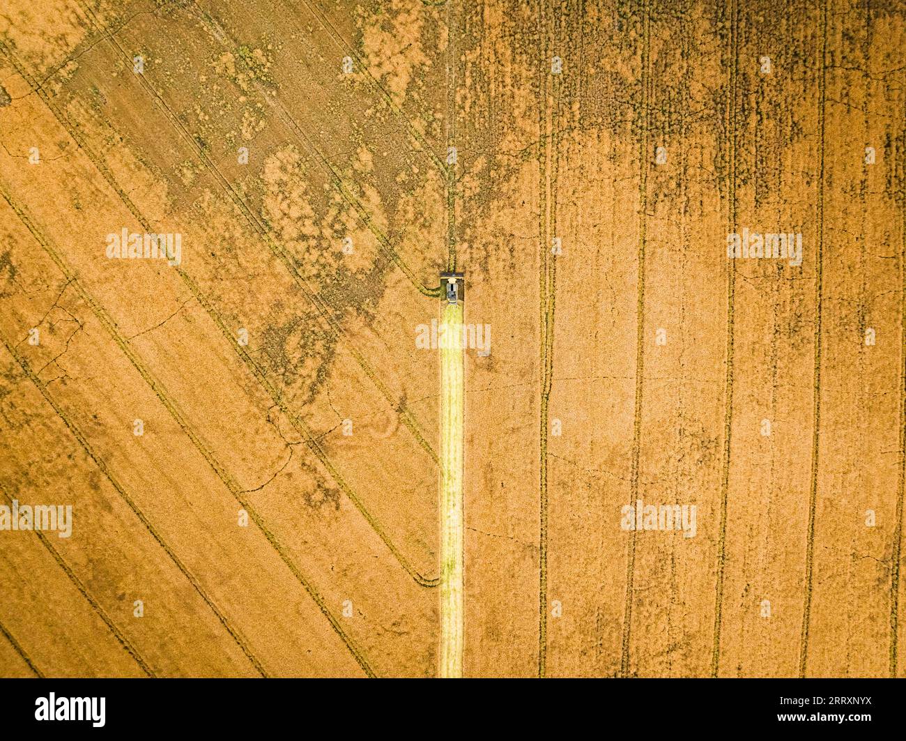 Aerial view of combine harvesting big field in summer, Poland ...