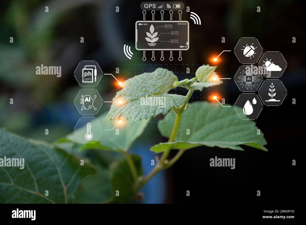 The concept of using AI and smart farming Stock Photo - Alamy