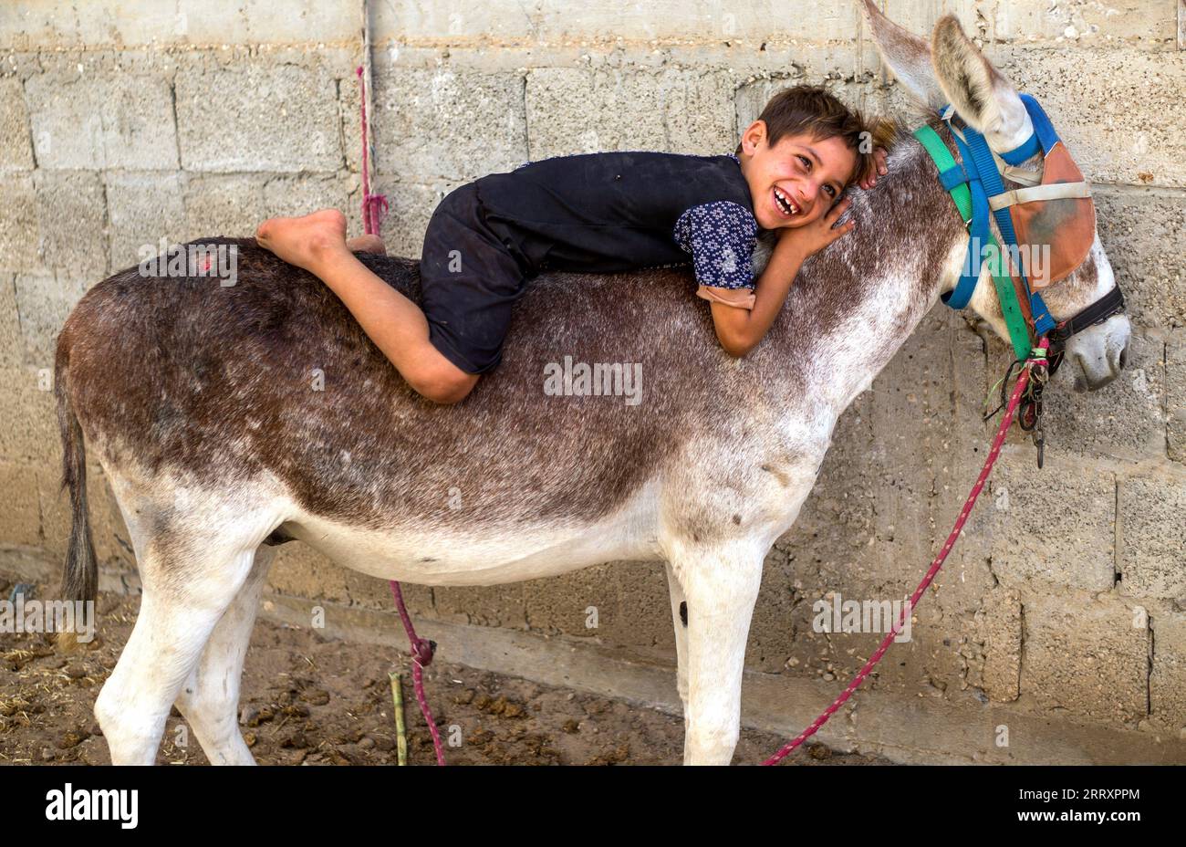 September 9, 2023, Gaza City, The Gaza Strip, Palestine: A Palestinian ...