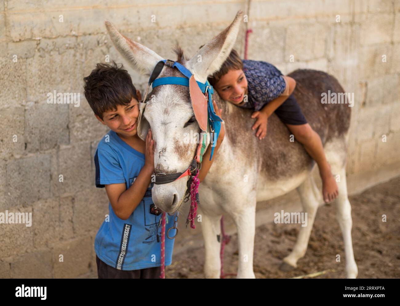 September 9, 2023, Gaza City, The Gaza Strip, Palestine: Palestinian ...