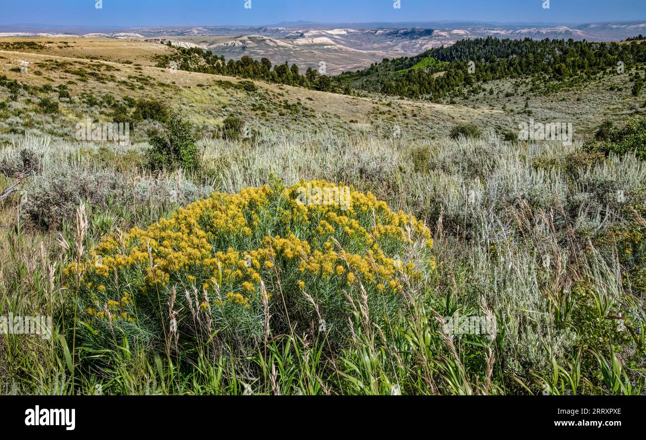 Fossil Butte National Monument Vista, Wyoming Stock Photo - Alamy