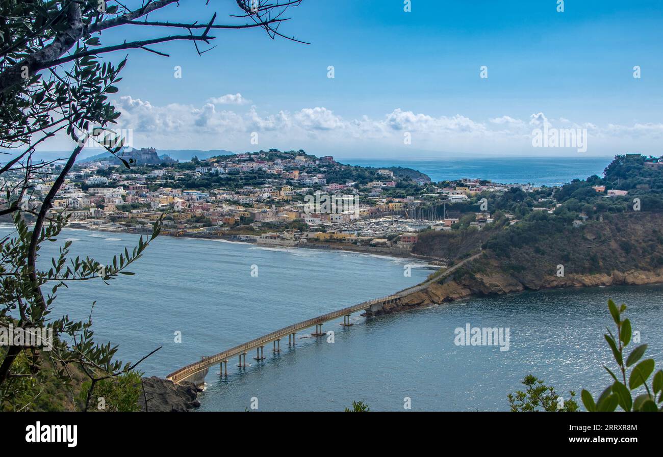 Procida vivara nature reserve hi-res stock photography and images - Alamy