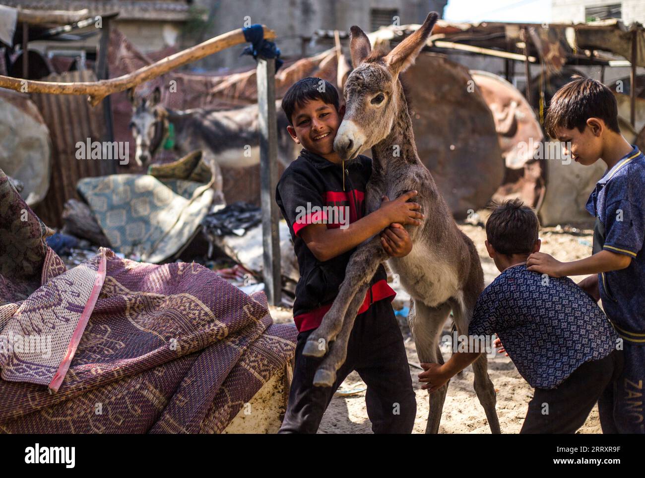 September 9, 2023, Gaza City, The Gaza Strip, Palestine: Palestinian ...