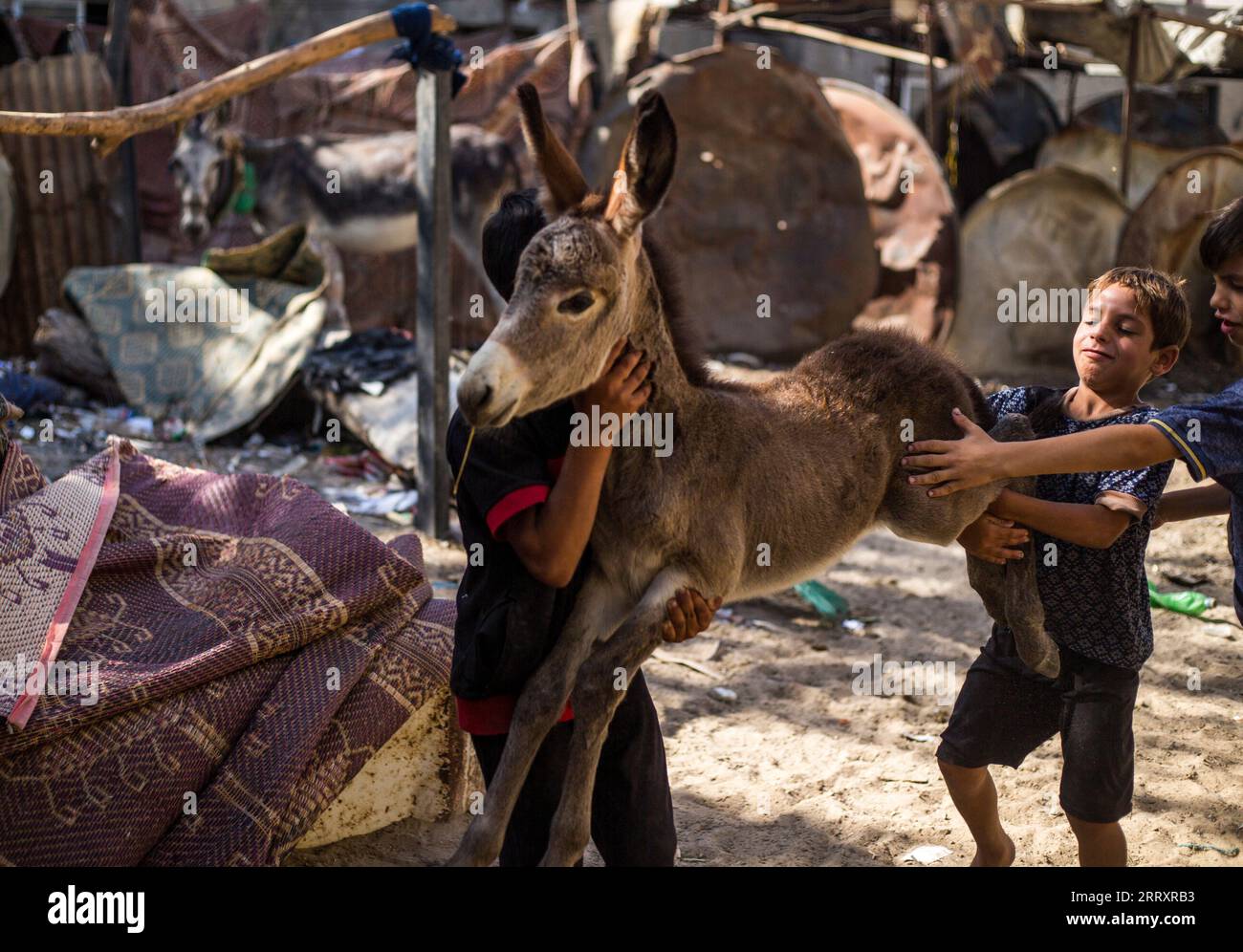 September 9, 2023, Gaza City, The Gaza Strip, Palestine: Palestinian ...