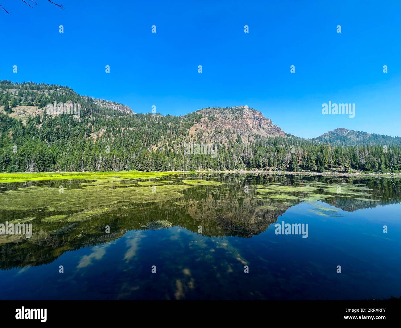 Strawberry Lake Oregon Stock Photo - Alamy