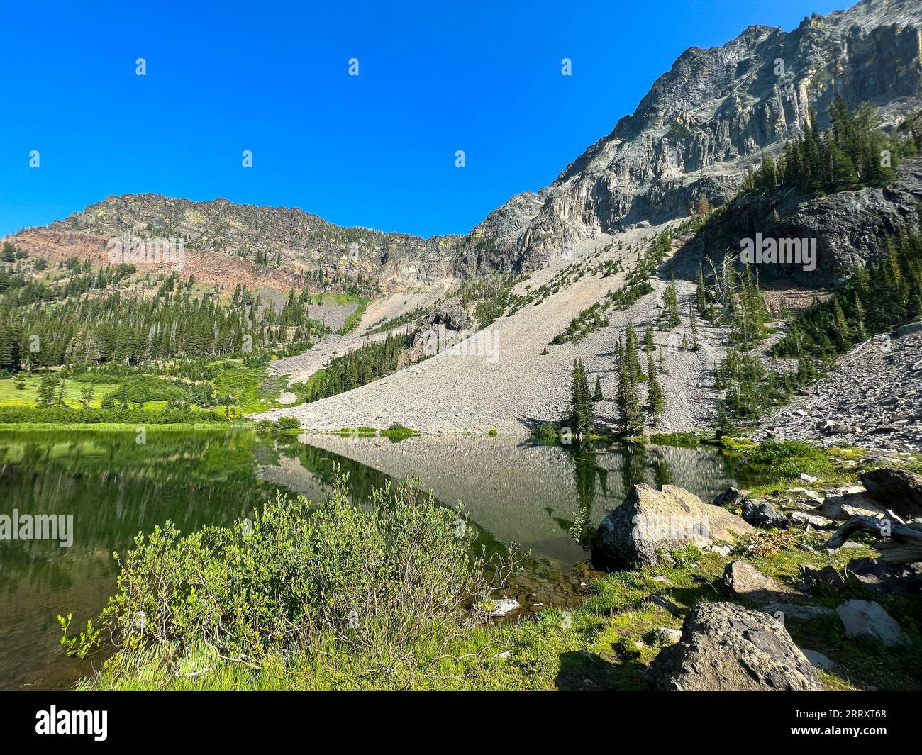Little strawberry lake hi-res stock photography and images - Alamy