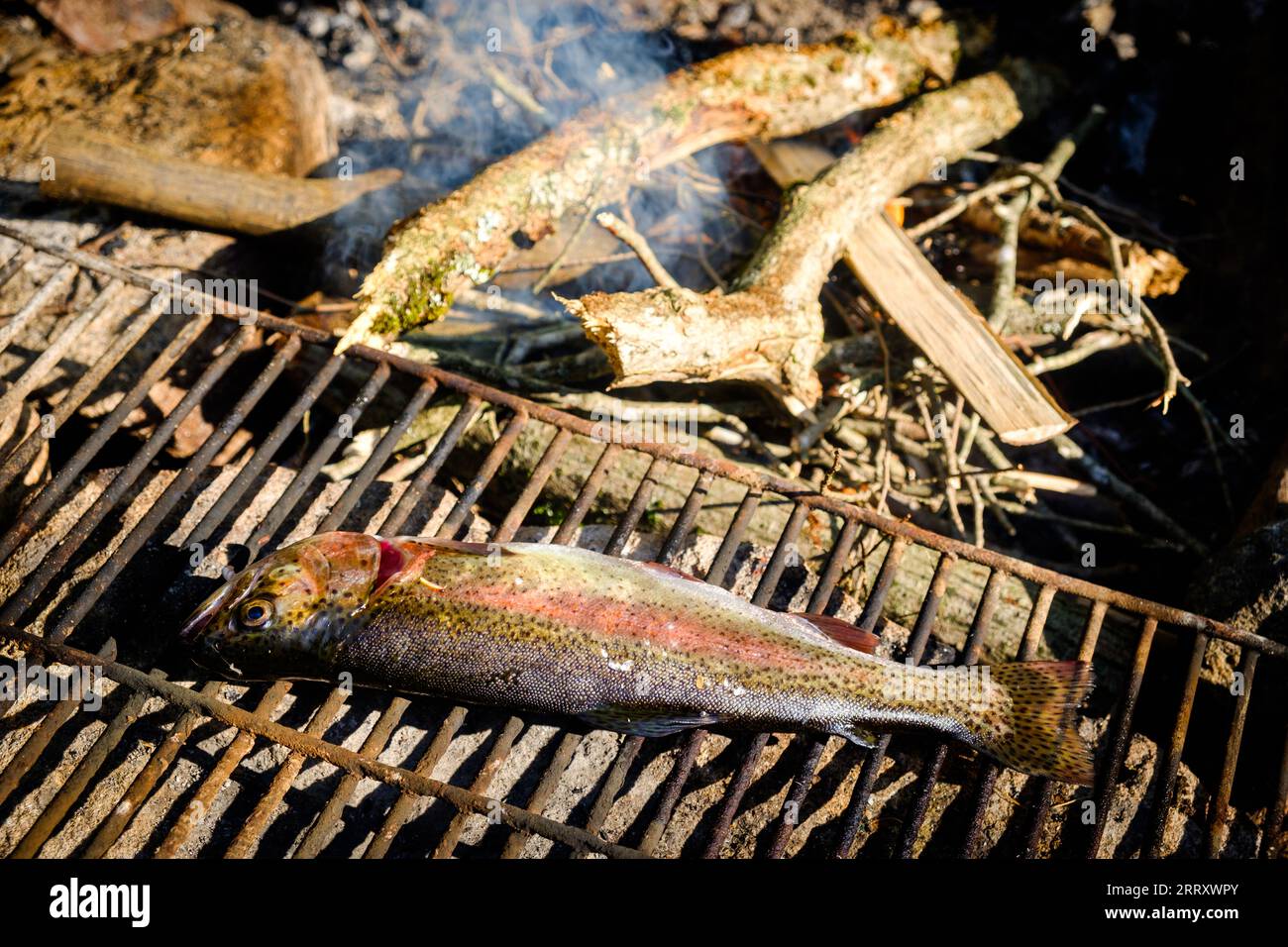 Grilling freshly caught brook trout, Canoeing in the Adirondack ...