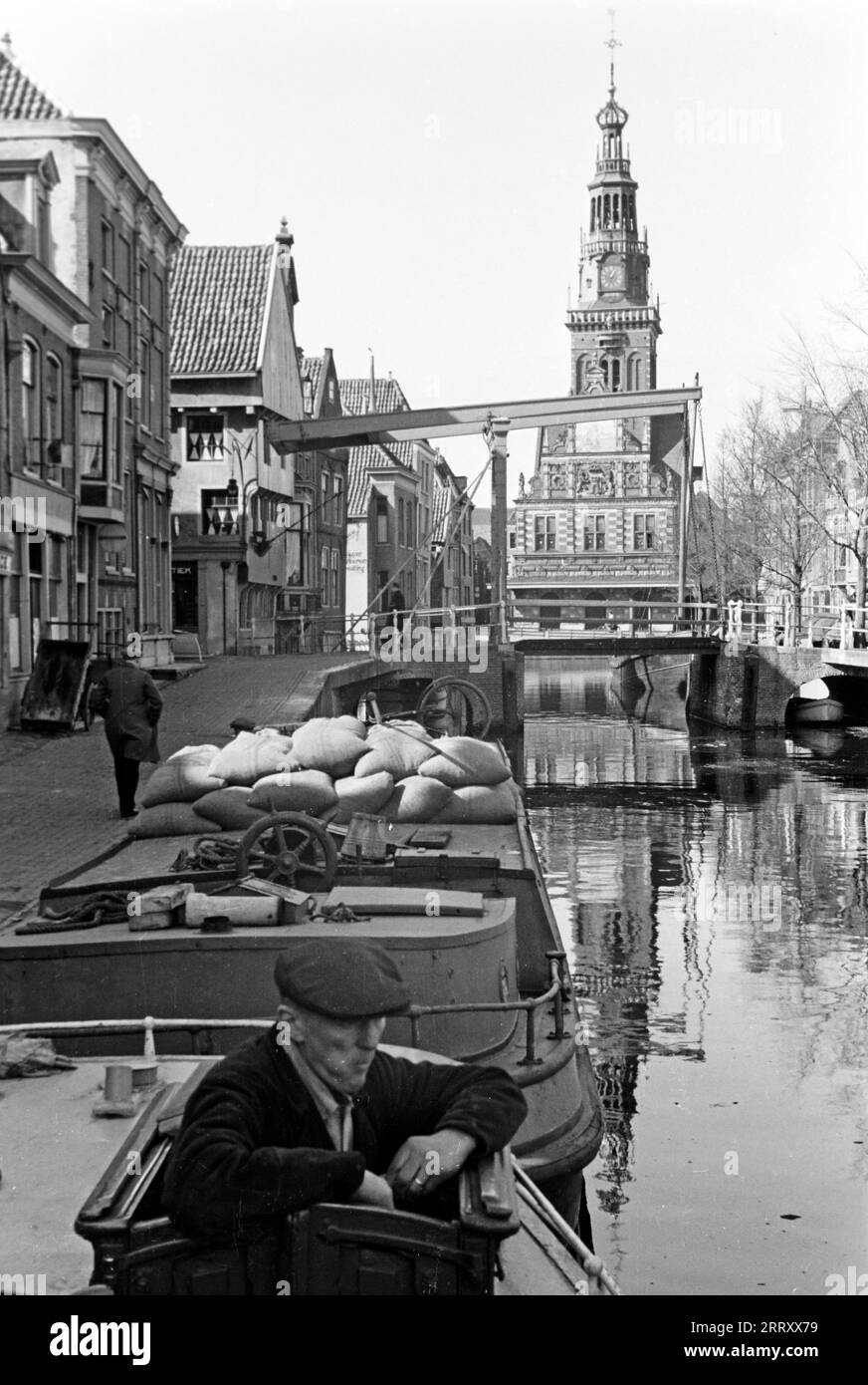 Cheese skipper Black and White Stock Photos & Images - Alamy