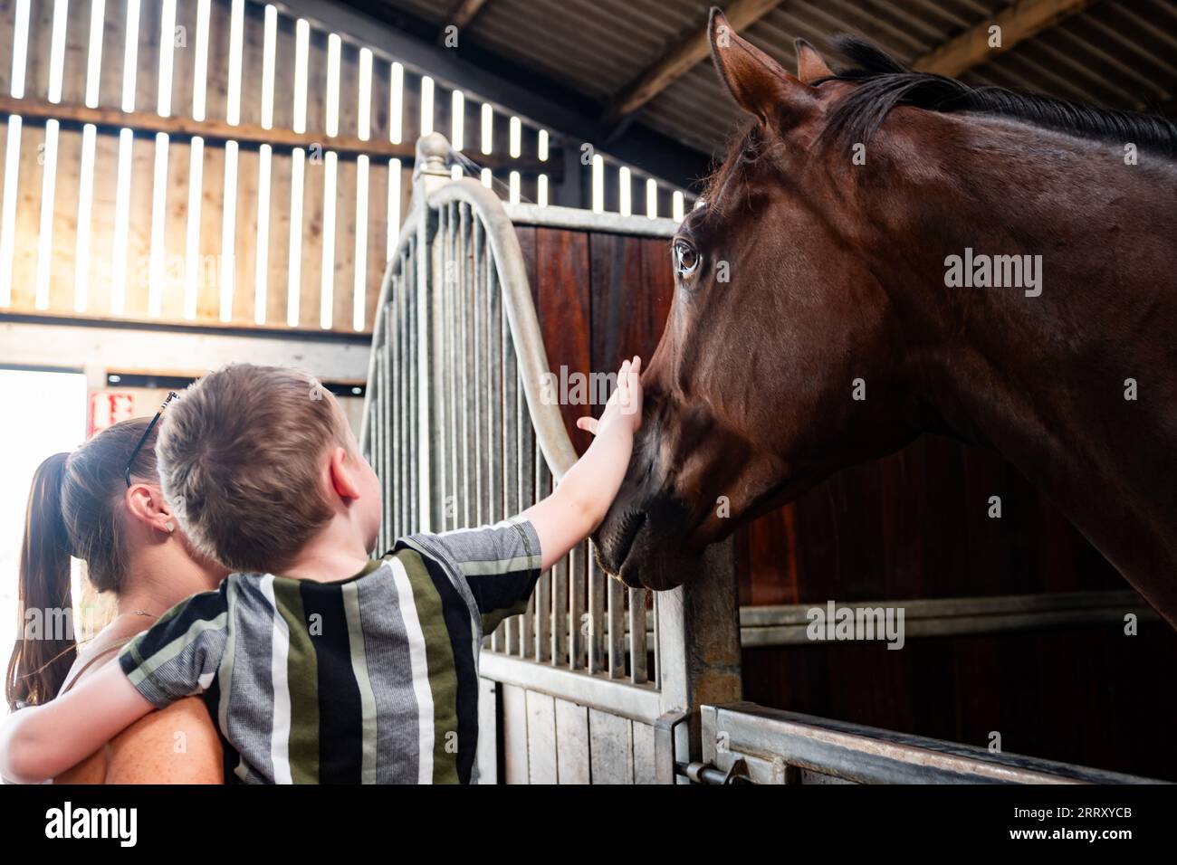 Oliver greenall hi-res stock photography and images - Alamy