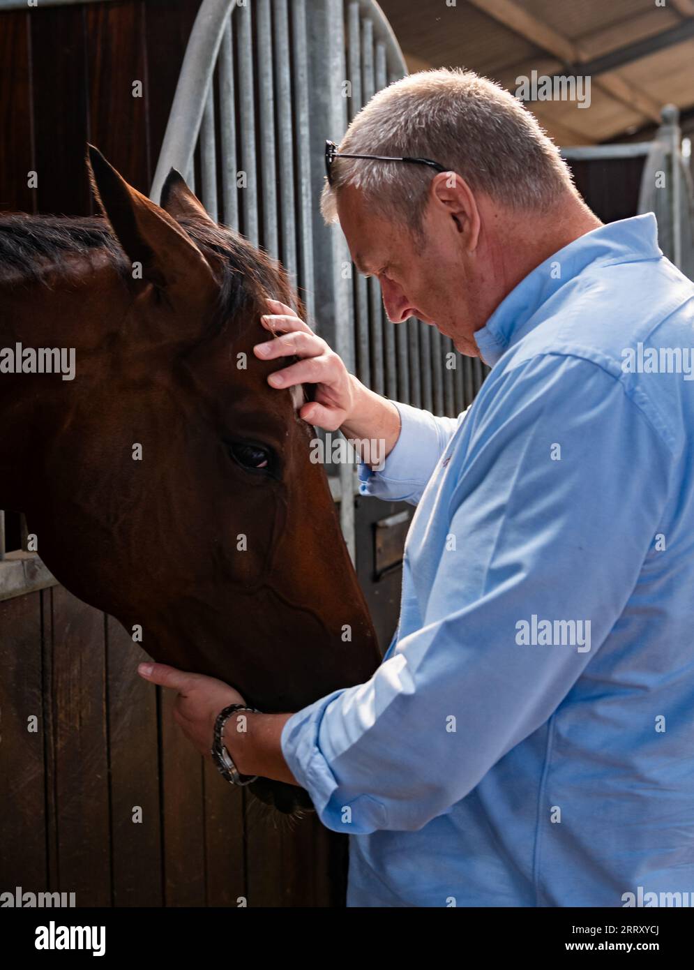 Stockton hall malpas hi-res stock photography and images - Alamy