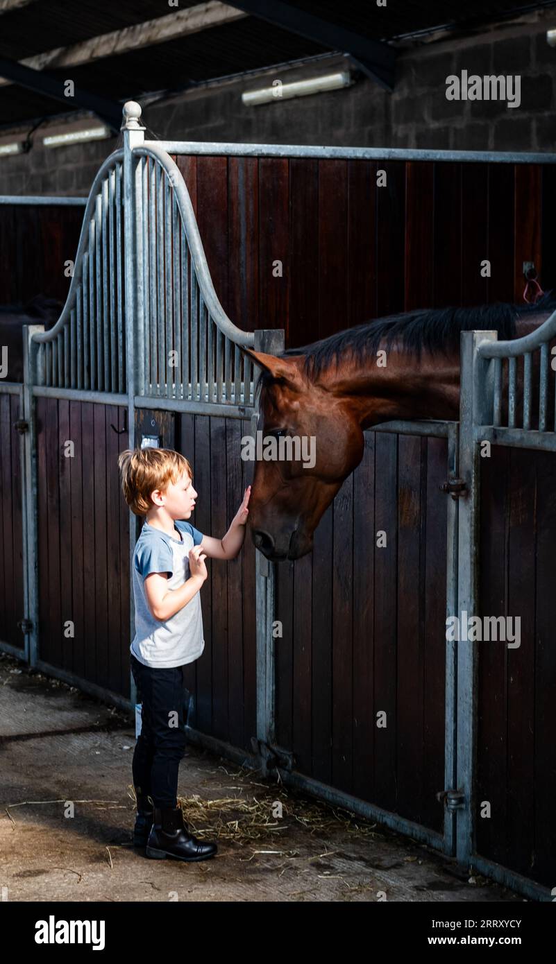 Stockton hall malpas hi-res stock photography and images - Alamy