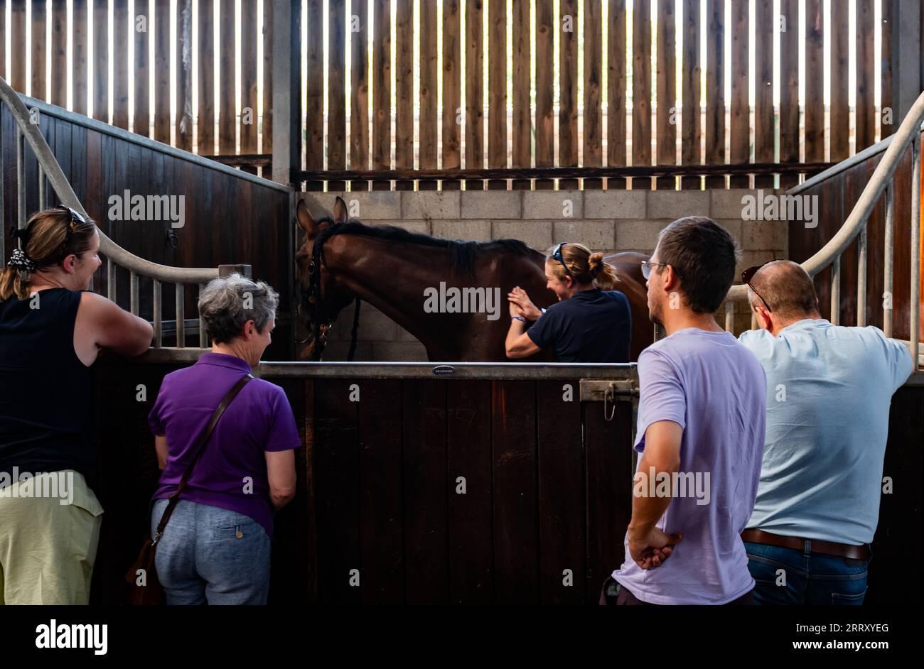 Stockton racecourse hi-res stock photography and images - Alamy