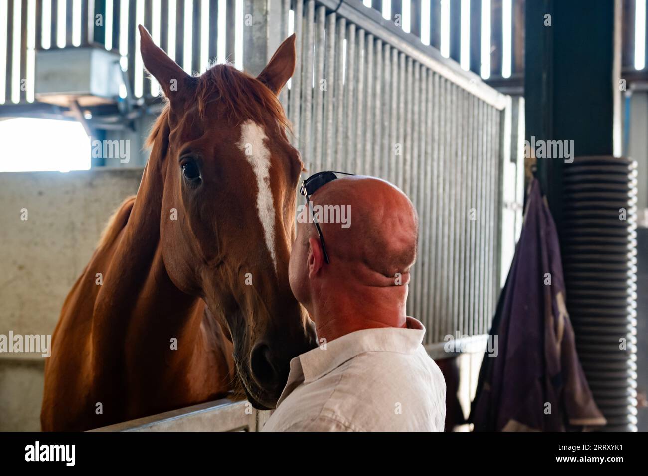 Malpas, Cheshire, UK, Saturday 9th September 2023. National Racehorse ...