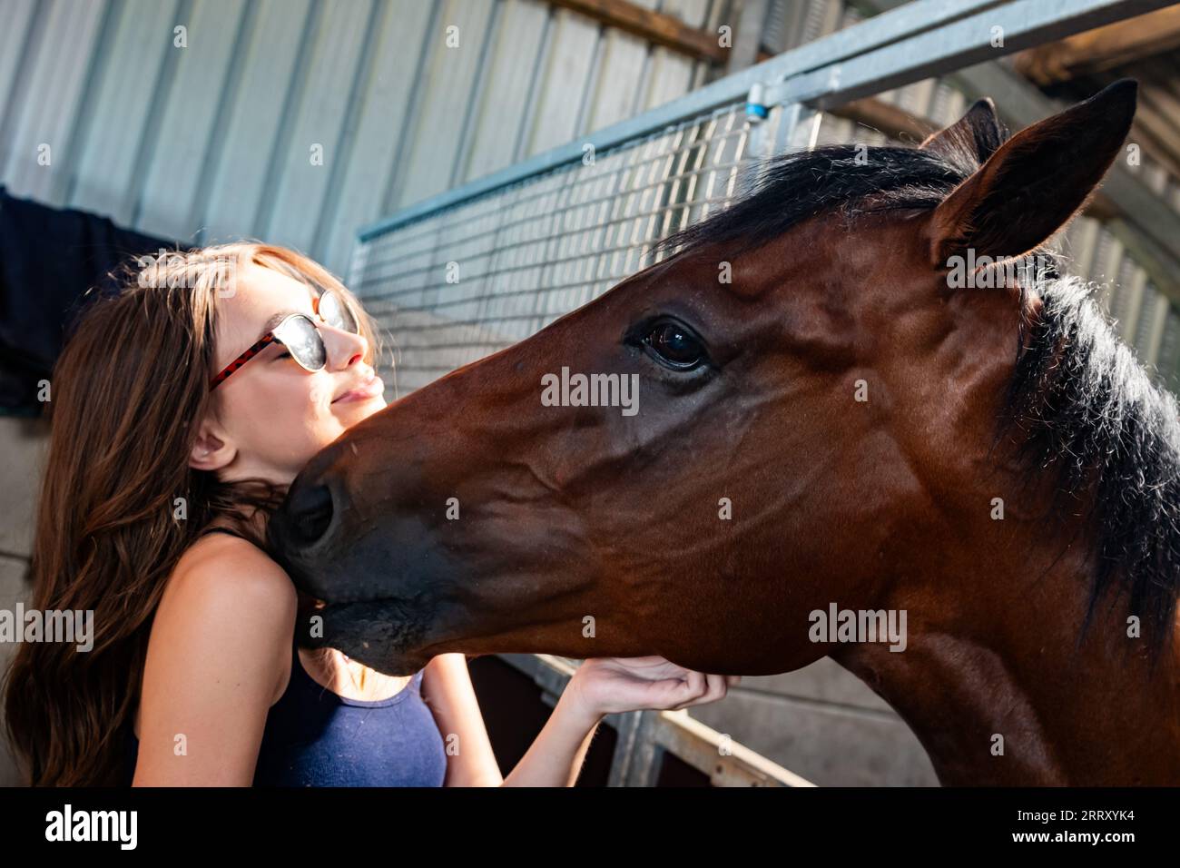 Stockton racecourse hi-res stock photography and images - Alamy