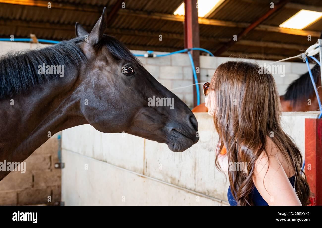 Stockton hall malpas hi-res stock photography and images - Alamy