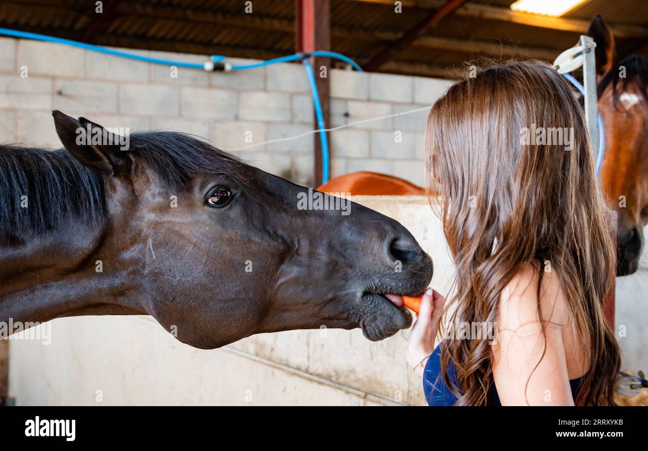 Malpas, Cheshire, UK, Saturday 9th September 2023. National Racehorse ...