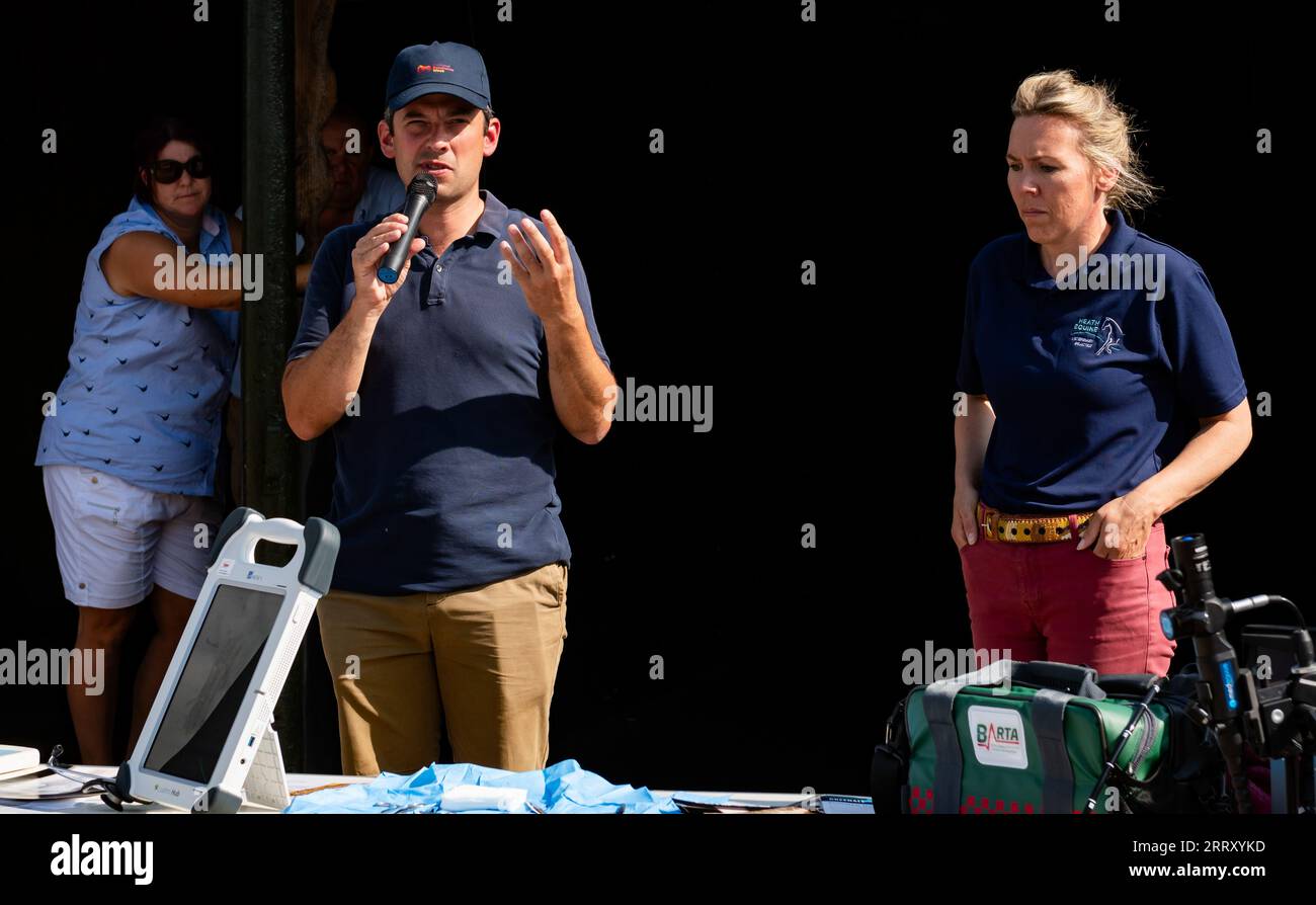 Images of racehorses hi-res stock photography and images - Alamy