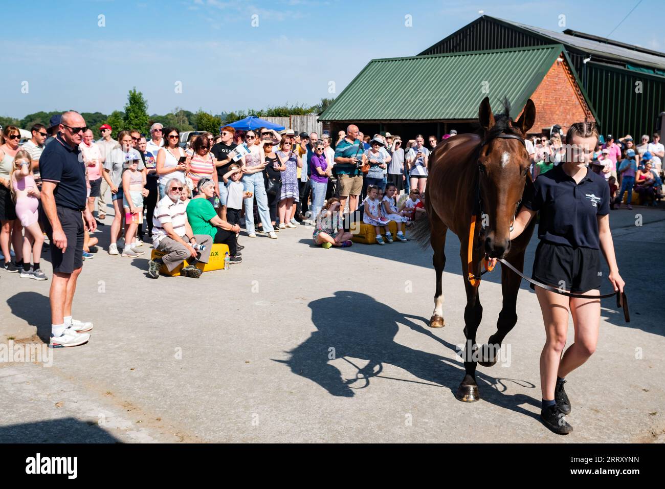Racehorse stables hi-res stock photography and images - Alamy