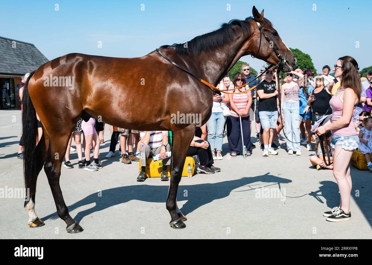 Stockton hall malpas hi-res stock photography and images - Alamy